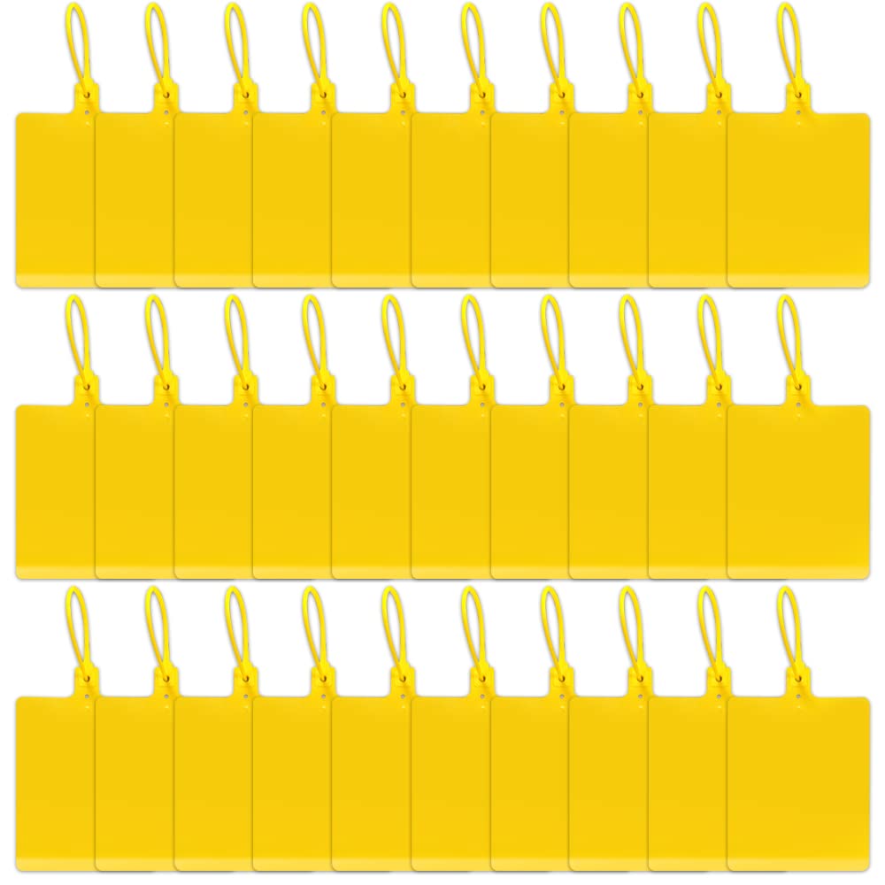 30 Pcs Waterproof Large Shipping Tags,DanziX Seal Tags Zip Tie Labe,255 ...