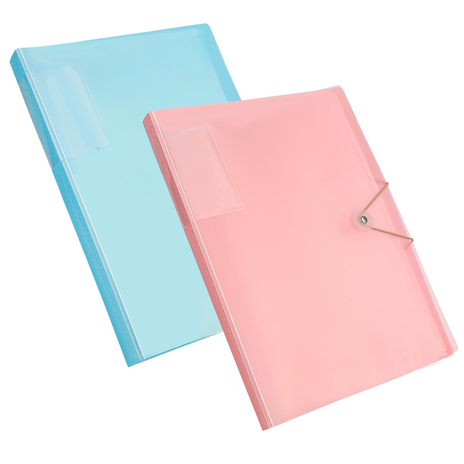 saerryor 120 Pockets 2 Pcs A4 Display Folders Display Book Presentation ...