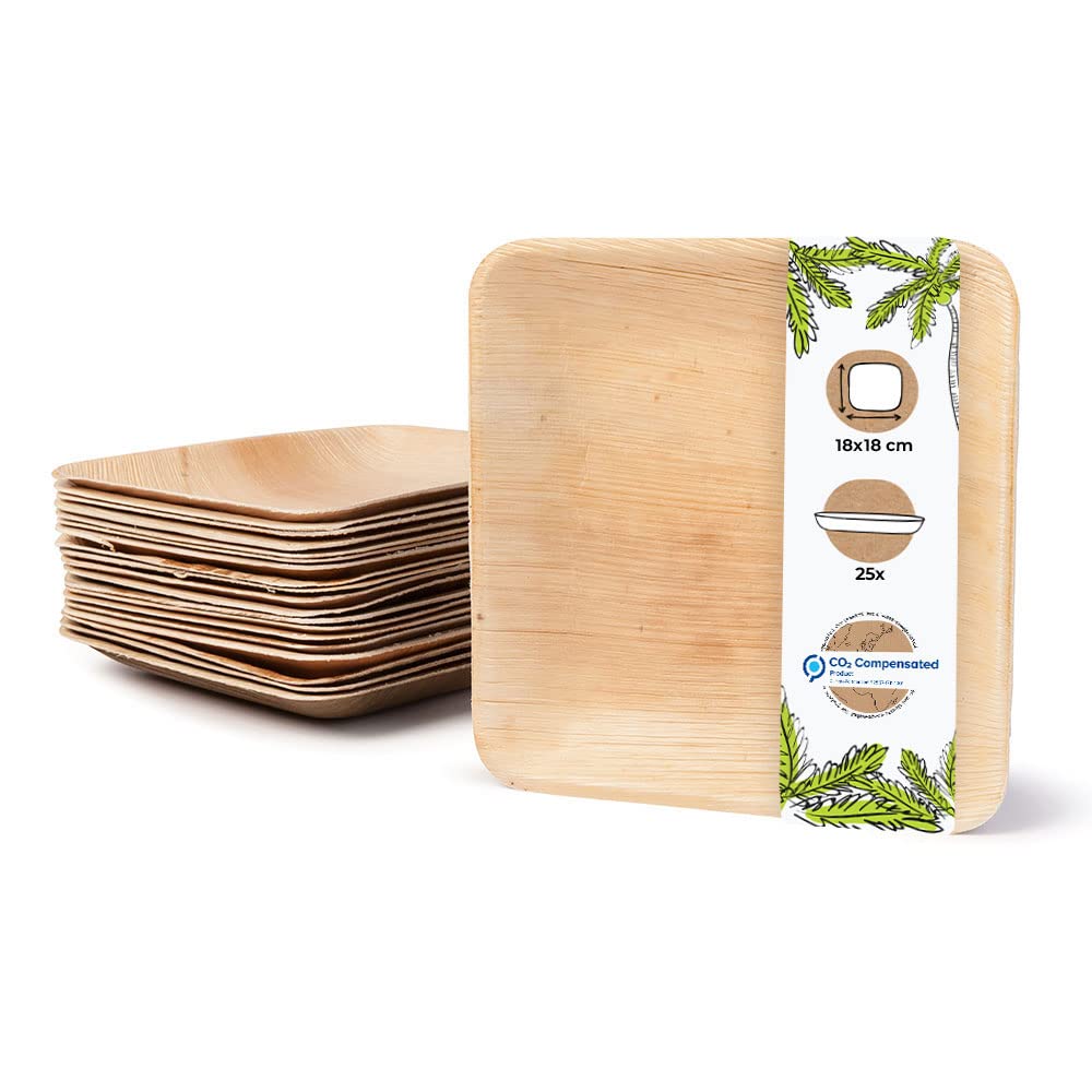 BIOZOYG 25x Palm Leaf Plates 15 x 15 cm - Eco Plates Compostable and ...